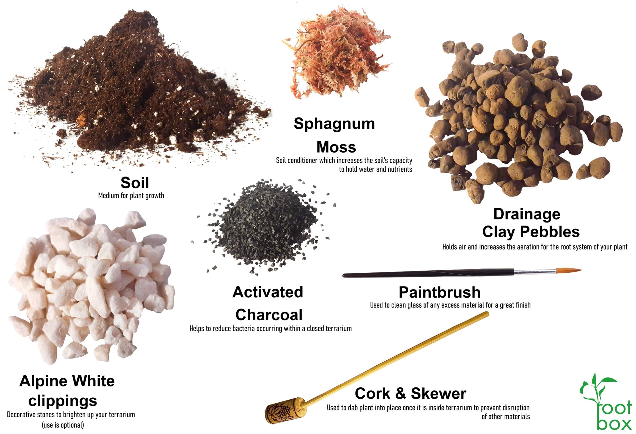 Rootbox™ Large Terrarium Kit | Scented giftbox | Suitable for Bonsai S ...